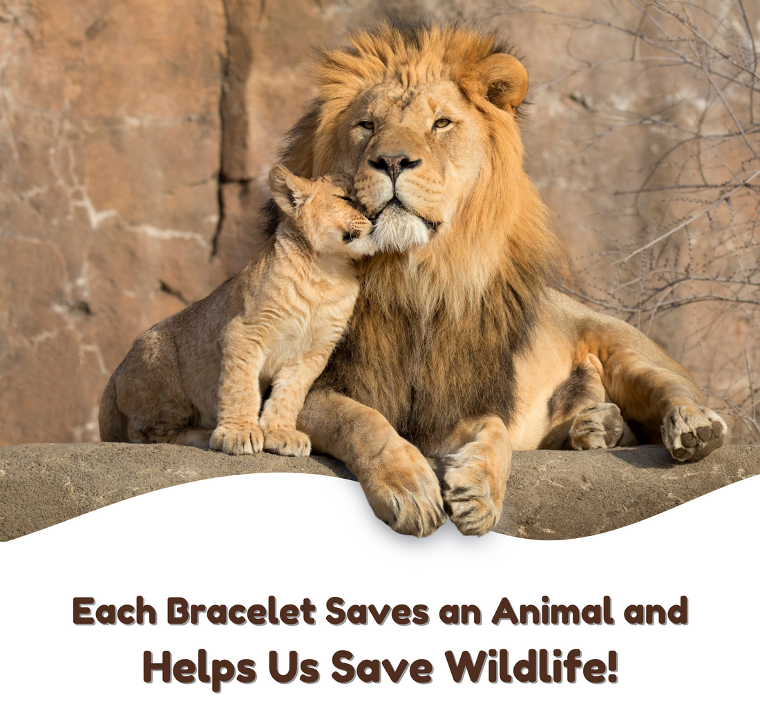 Wildlife Rescuers: Bracelets & Merch Supporting Wildlife Conservtion